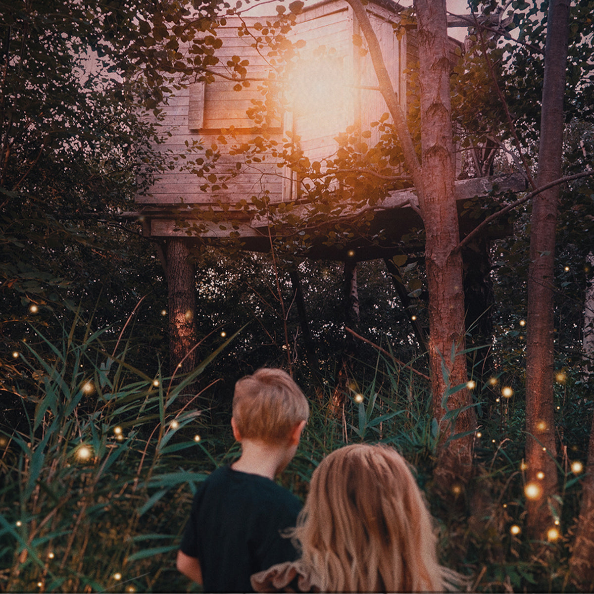 Storm – InVogue Records